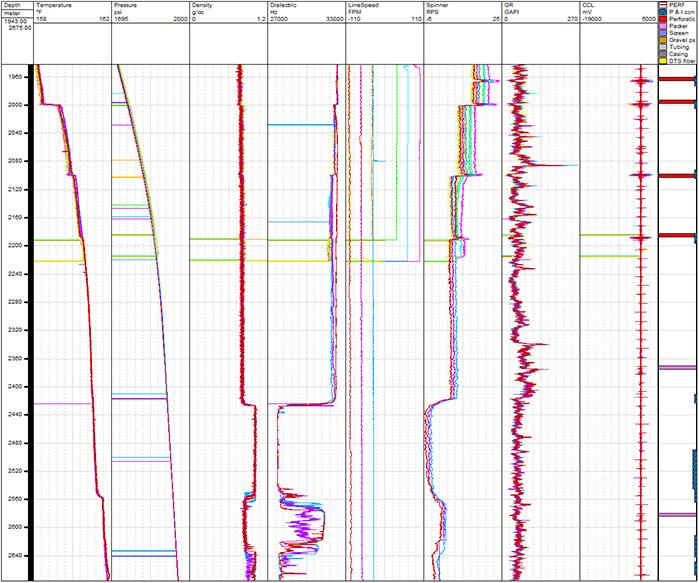Log_Interpretations - Case - Example_Processing___interpretation_of ...